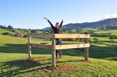 Building Tree Cages Back To The Land