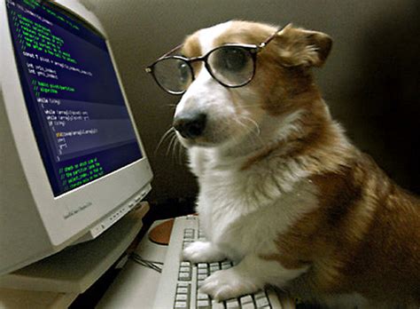 Developing A Naive Bayes Text Classifier In JAVA