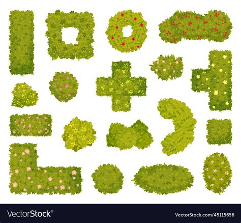 Green Bushes And Shaped Shrubs As Decorative Park Vector Image