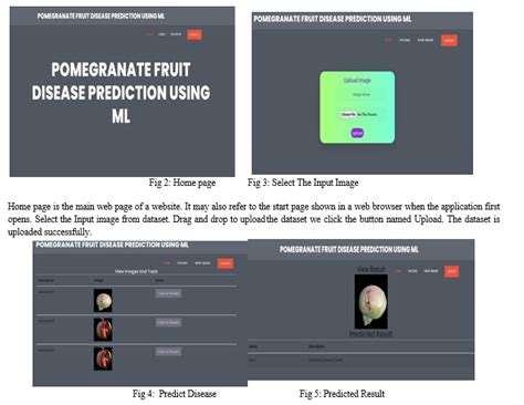 Pomegranate Fruit Disease Prediction Using Machine Learning