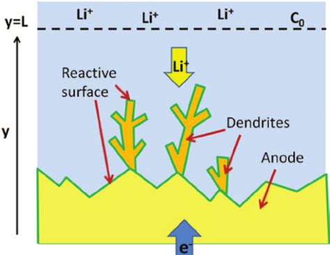 Schematic Of Simulation Domain L Is The Thickness Of Diffusion Layer Download Scientific