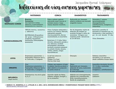 Enfermedades No Infecciosas Características Y Ejemplos Operativo