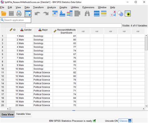 How To Split Files In SPSS Analyzing Data By Group EZ SPSS Tutorials