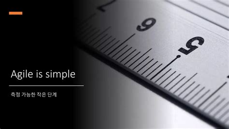 Agile Back To Basics PPT