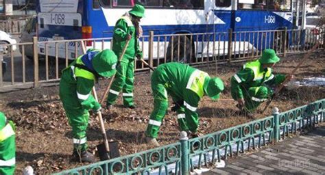 Нийслэлийн хэмжээнд ногоон байгууламжийн ажил хийгдэж байна