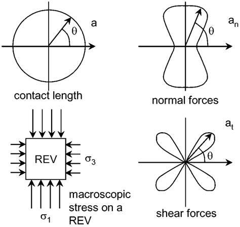 Anisotropy Coefficients Spatial Distribution Download Scientific
