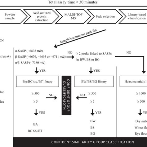 Flow Chart Summary Of The Proposed Maldi Tof Ms Based Classification
