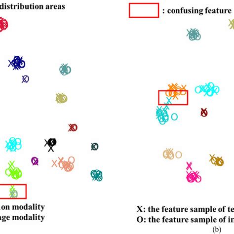 T Sne Visualization On The Ucmiv Dataset A T Sne Visualization Of