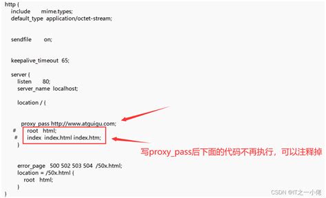 nginx学习笔记2【尚硅谷】 nginx 高级 iphash维持会话特点及配置 尚硅谷 csdn博客