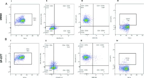 Flow Cytometry Analysis Of The Cov434 Organoids After Lymphocyte