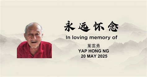 葉雲勇 Yap Hong Ng • Fairy Park