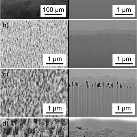 SEM Figures On Left Side Show The Top View And Figures On The Right Download Scientific Diagram