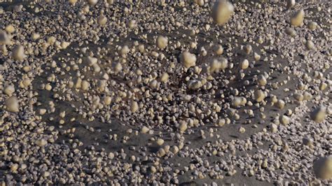The Emitter Particle Course For Flippednormals