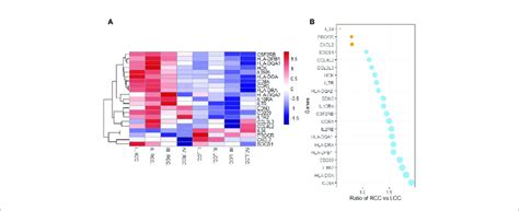 Immunologically Relevant Differential Genes Expression Analysis A