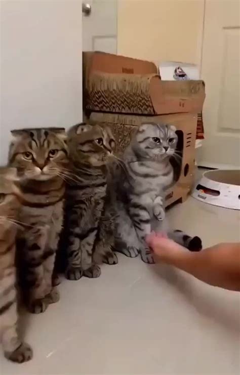 Handshake Album On Imgur