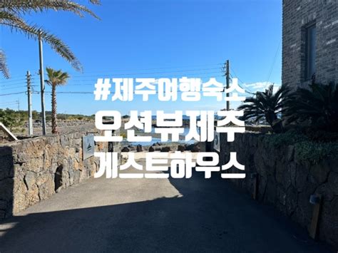 제주 서귀포 여행 숙소 오션뷰 제주 게스트하우스 디럭스 2인실 네이버 블로그