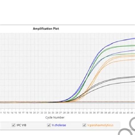 Multiplex Study Combination 5 Amplification Plot 101x62mm 96 X 96 Dpi Download Scientific