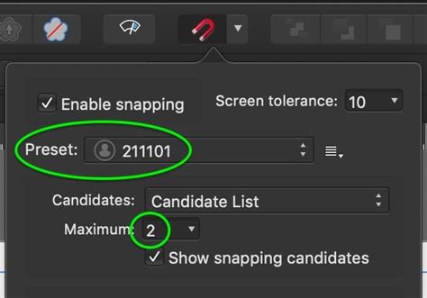 Snapping Custom Preset Candidates ≠ 6 Not Respected V1 Bugs Found On Macos Affinity Forum