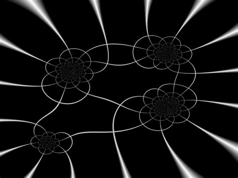 Flexi Complex Polynomial 01 Four Zero Points Free Download Borrow And Streaming Internet