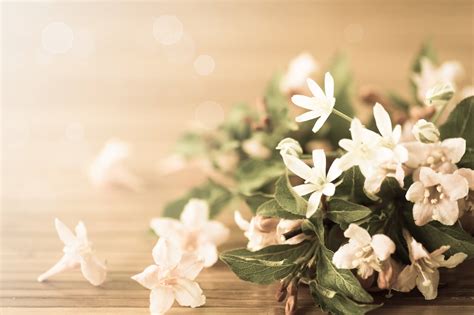 그루터기북스 초등학생 부모를 위한 자녀 자기주도학습 코칭서 2차 도서 증정 이벤트 당첨자가 발표되었습니다 🎉🎉 당첨자에게는 페이스북 메시지가 발송되었사오니 메시지함을