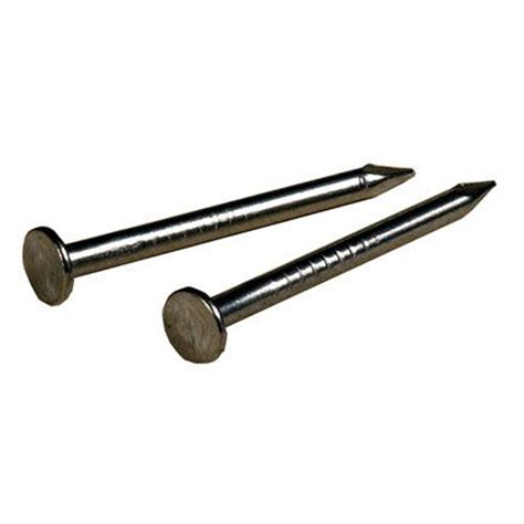 Common Wire Nailspolishied Common Nails