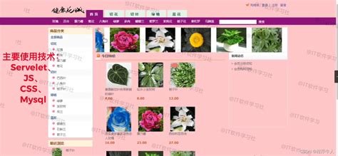 基于javaweb的鲜花绿植商城平台设计与实现【数据库设计、毕业设计、源码、开题报告】 墨天轮