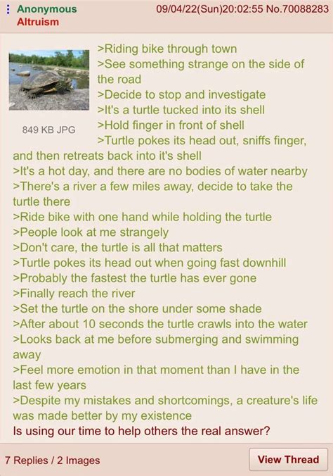 Anon Likes Turtles R Greentext Greentext Stories Know Your Meme