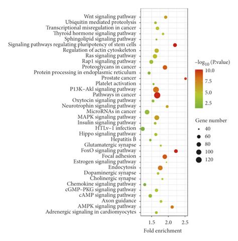 The Modular Functions Of Degs In The Progression Of Osteosarcoma A Download Scientific