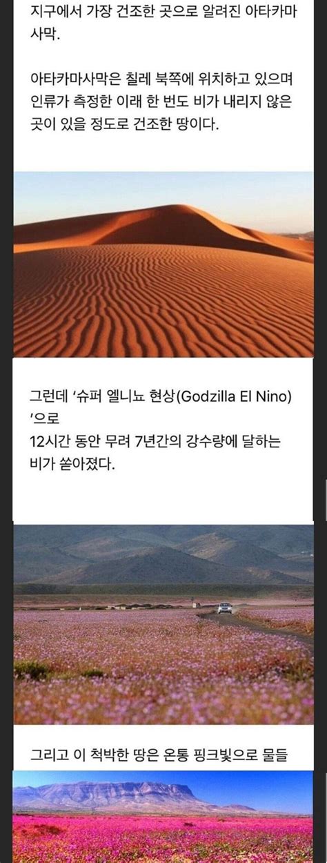 12시간동안 7년 간 내릴 비가 전부 내린 사막 댓글에 본문👇 재밌는거 찾다가 빡쳐서 만든 페이지