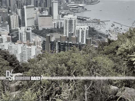 female hiker reports knife attack after argument with man over feeding wild boars on braemar