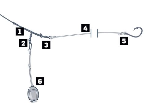 How To Catch Mutton Snapper