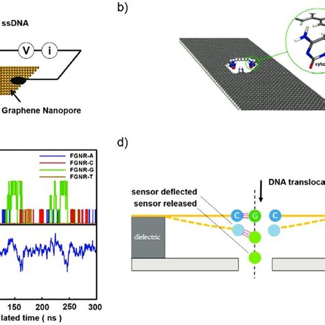 Single Molecule Detection Techniques A Fret Detection Of Closed And