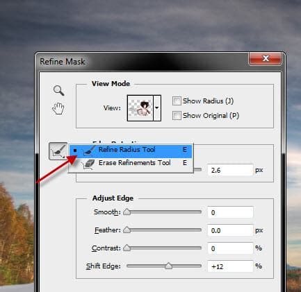 Quick And Effective Hair Extraction Techinque Via Refine Mask In Photoshop CS PSD Vault