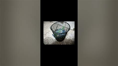 Programming Memes 194 Programming Programmingmemes Memes Coding Humor Youtube