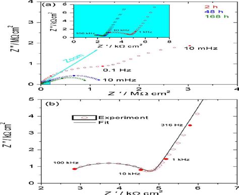 Is During Immersion Of Aa2024 T3 With 0 5 Mnacl Solution At Ocp A For Download Scientific