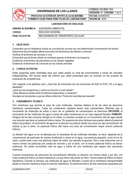 8 Mecanismos De Transporte Celular Descargar Gratis Pdf Biología