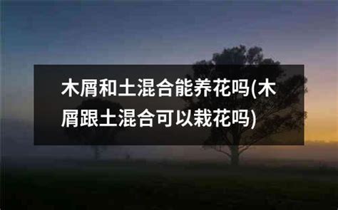 木屑和土混合能养花吗 木屑跟土混合可以栽花吗 养花经验
