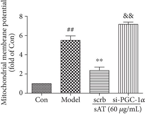 Sat Protected Mitochondrial Function Through The Pgc 1a Pathway A Download Scientific