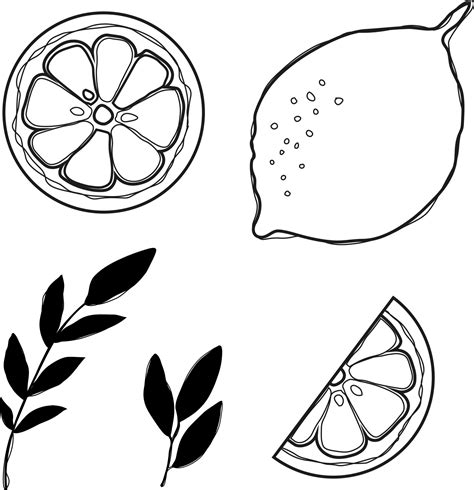 Fresh Lemon Fruits With Green Leaves Set Whole Lemon Cut In Half