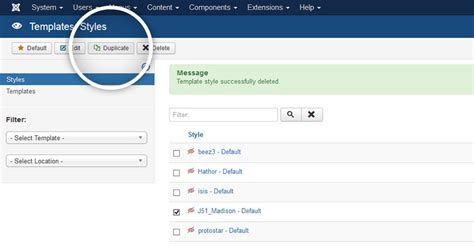 Template Customization