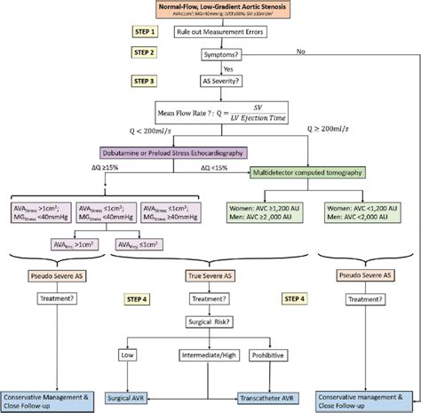 Algorithm For The Diagnostic Workup And Management Of Normal Flow
