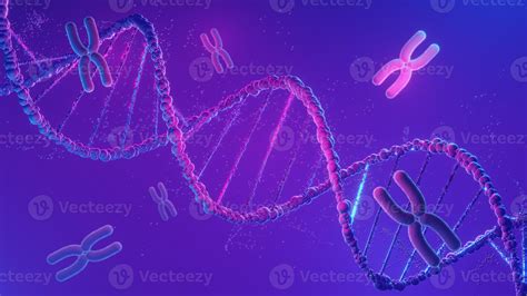 Dna Spiral Structure Dna Helix Complementary Strand Of Sequences Genetic Code Or Genome Gene