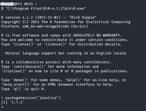 Constantly Getting The Failed To Get List Of R Functions Error