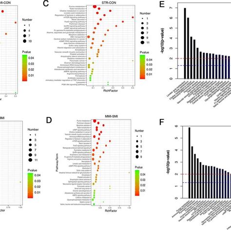 Bubble Chart And Bar Chart Of Kegg Enrichment Analysis A Bubble
