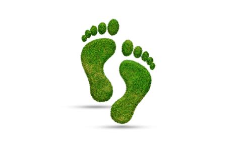 Why Render Your Home Prb Systems Ltd