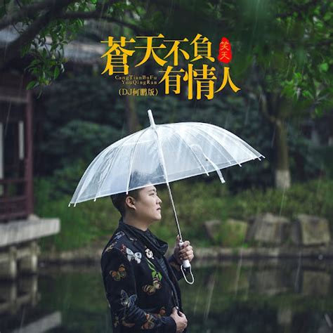 苍天不负有情人 DJ何鹏版 YouTube Music