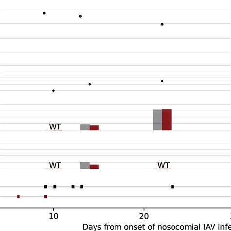 Timeline Of Persistent Iav Infection A Ausdiagnostics Nested Pcr