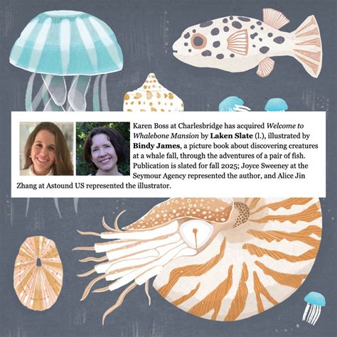 There Were So Many Strong Contenders To Illustrate This Picture Book About Whale Falls But