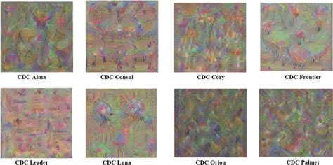 Feature Visualization Of The Last Fully Connected Layer Of Alexnet Download Scientific Diagram