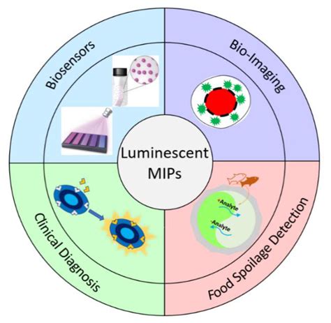 Molecularly Imprinted Polymer Based Luminescent Chemosensors